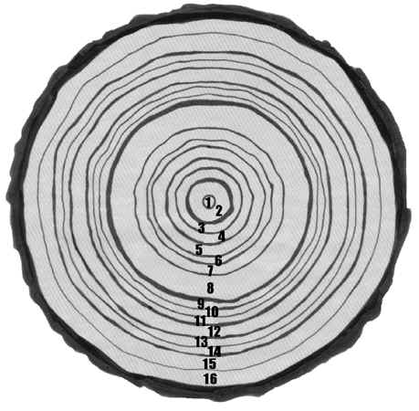 Tree Rings Cause Global Warming | Real Climate Science