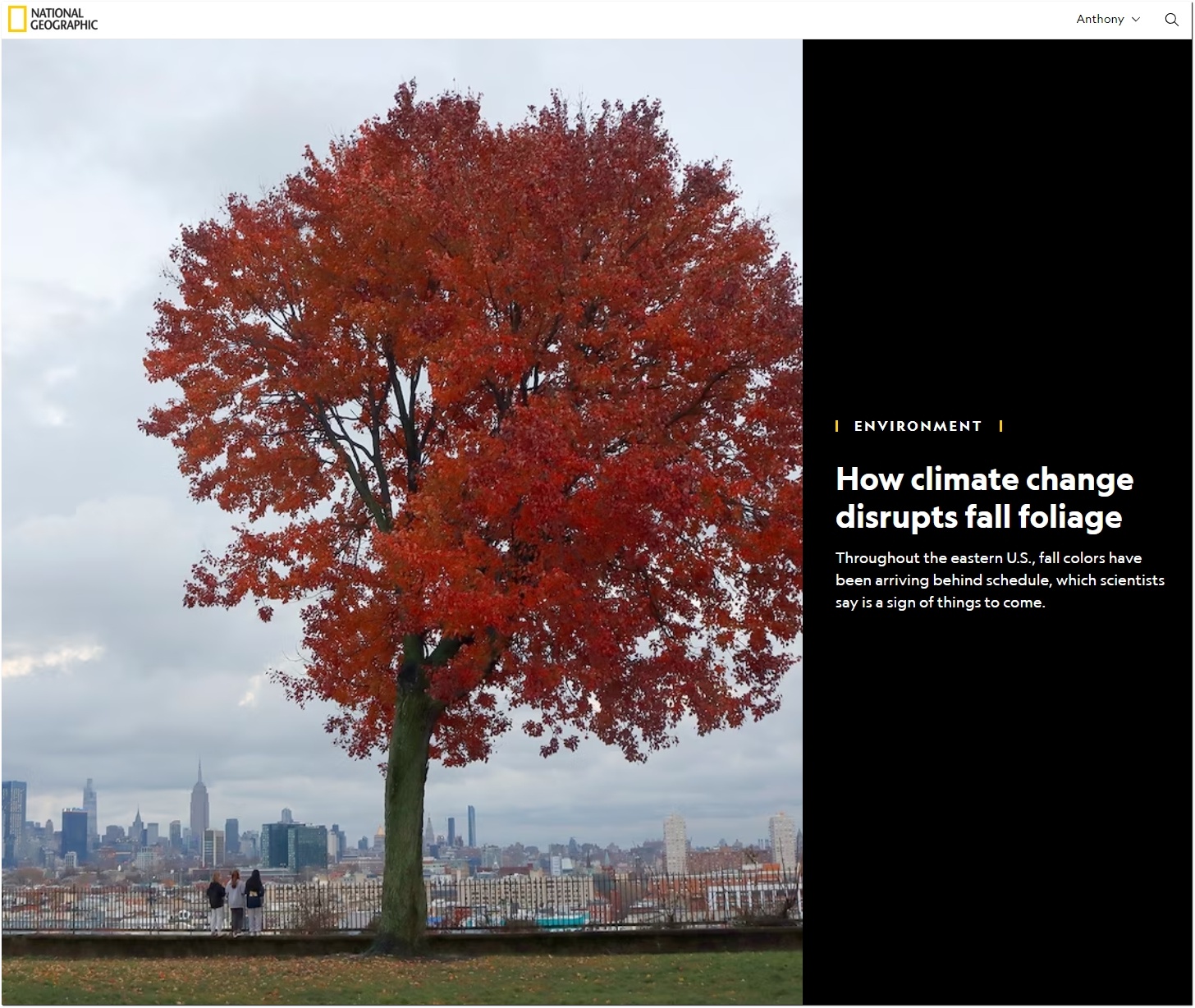 US Trees Controlled By Global Temperature Graphs – Iowa Climate Science ...